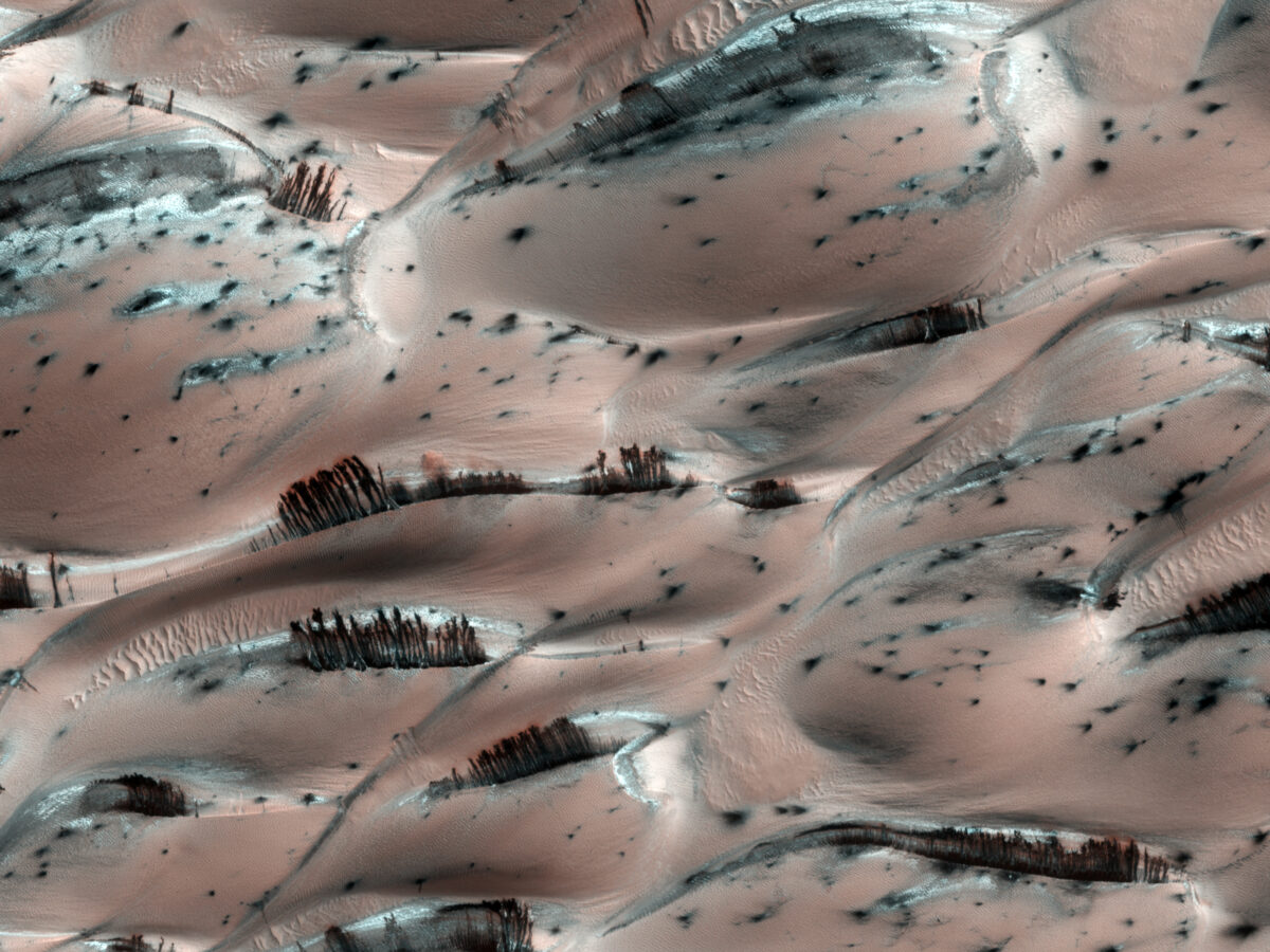 MRO, OMG! | The Planetary Society