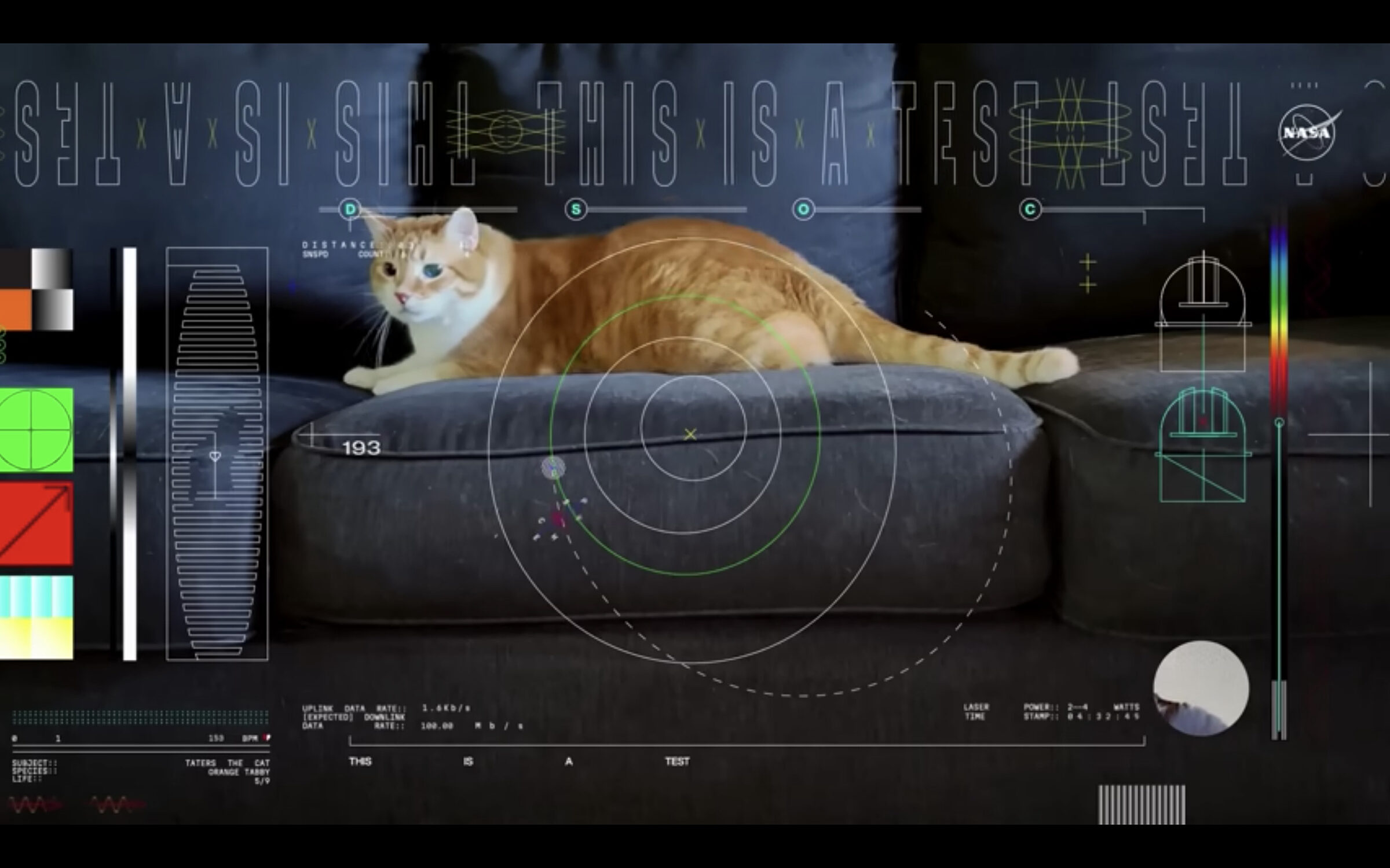 Laser pointer + cat = science | The Planetary Society