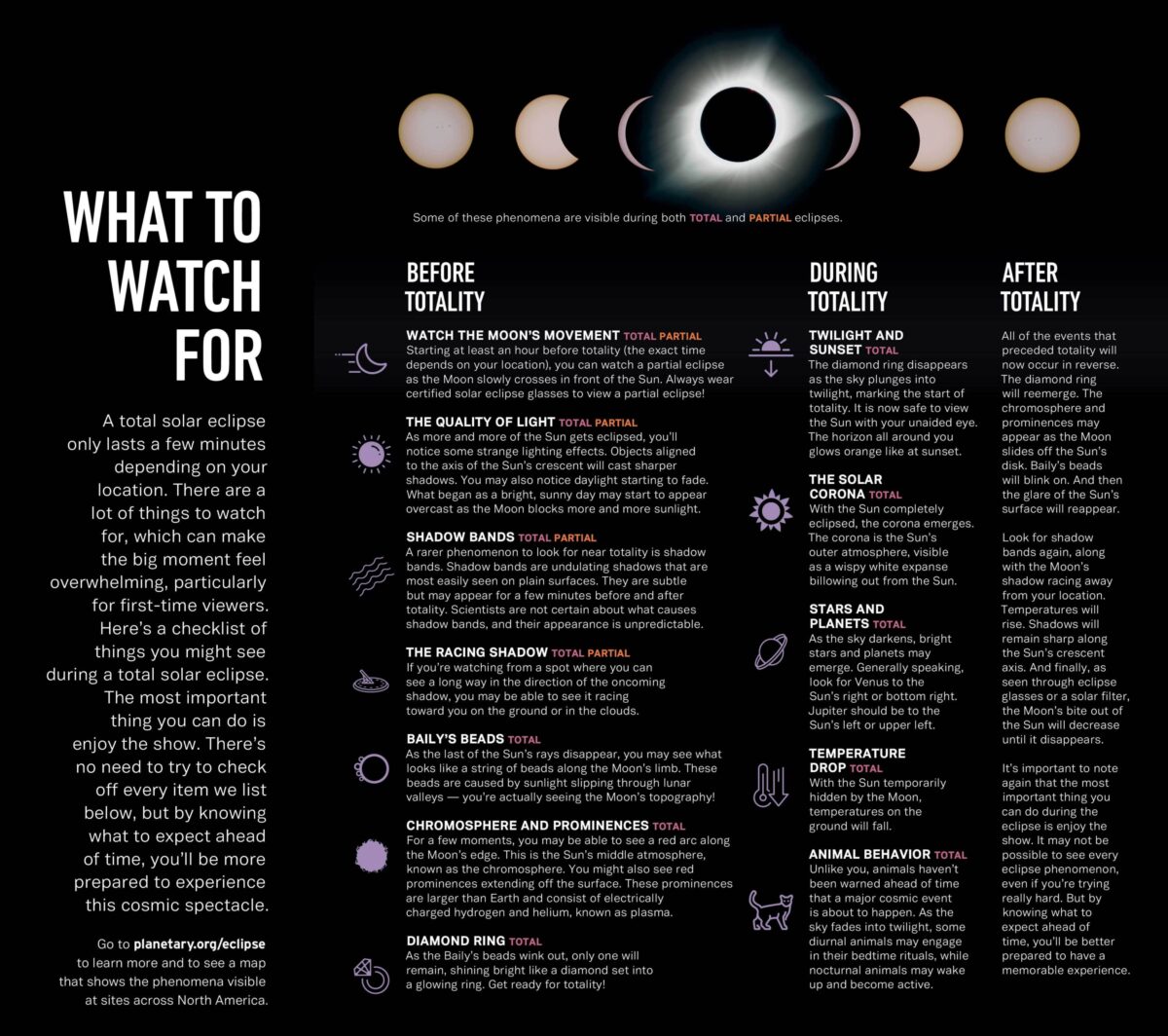 Eclipse phenomena infographic | The Planetary Society