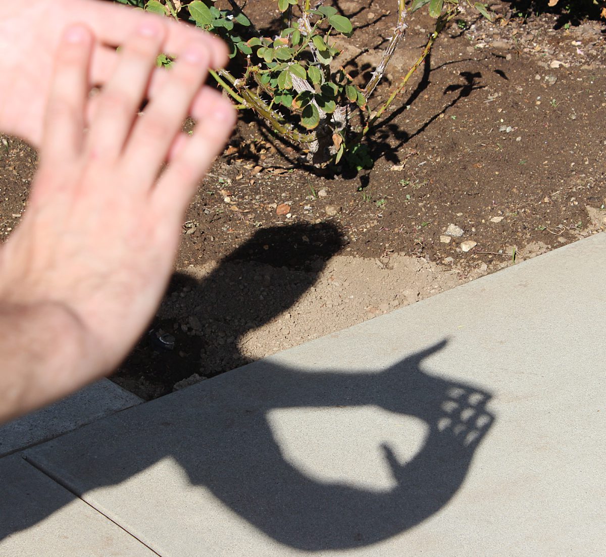 Why partial eclipses are worth seeing | The Planetary Society