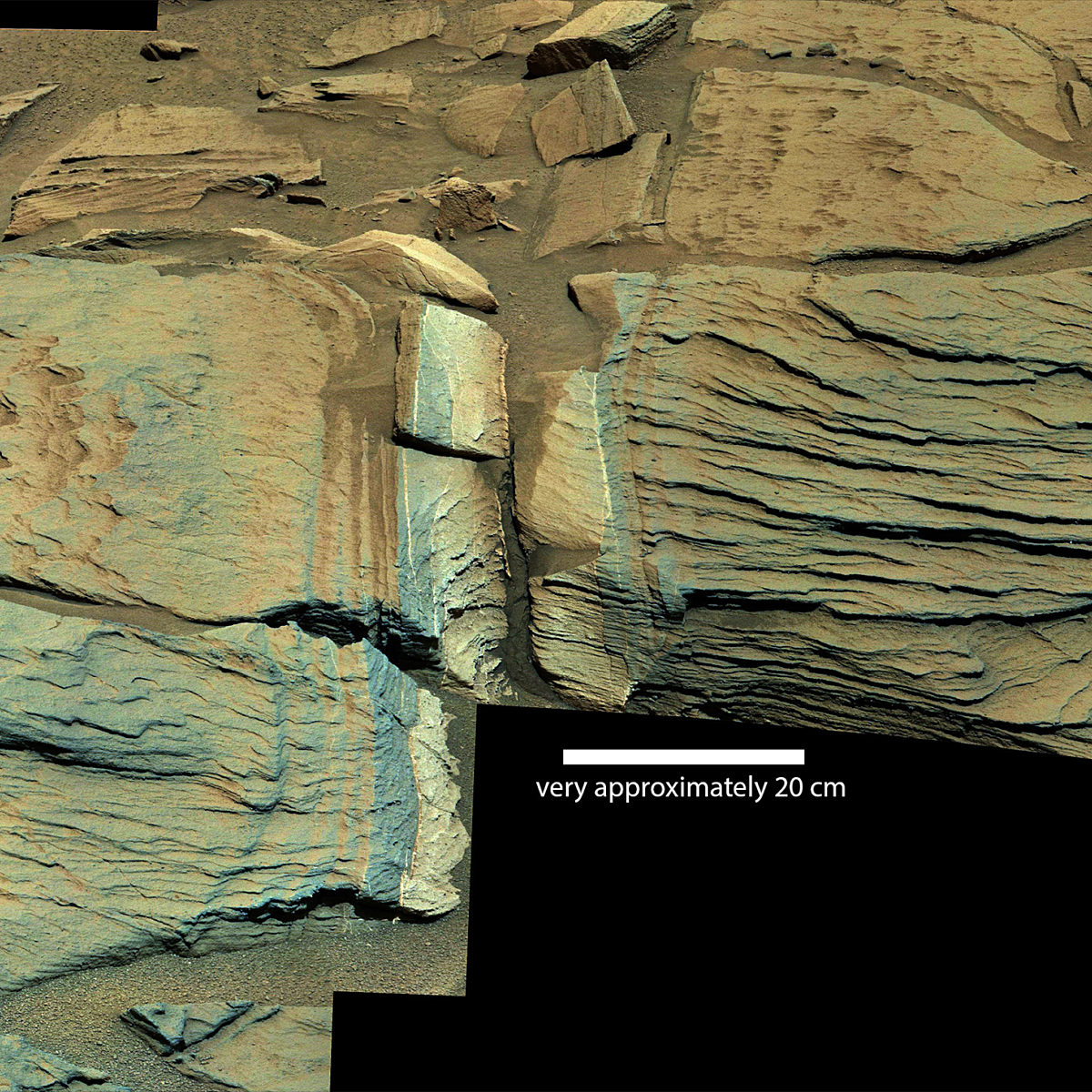 Map of Mars with major regions labeled | The Planetary Society