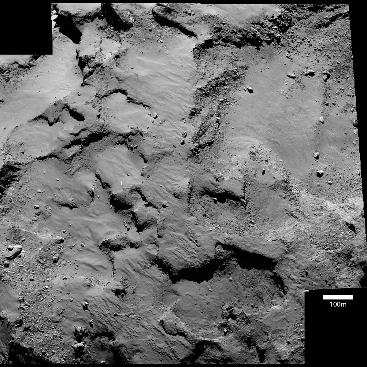 Bojan Novakovic portrait | The Planetary Society