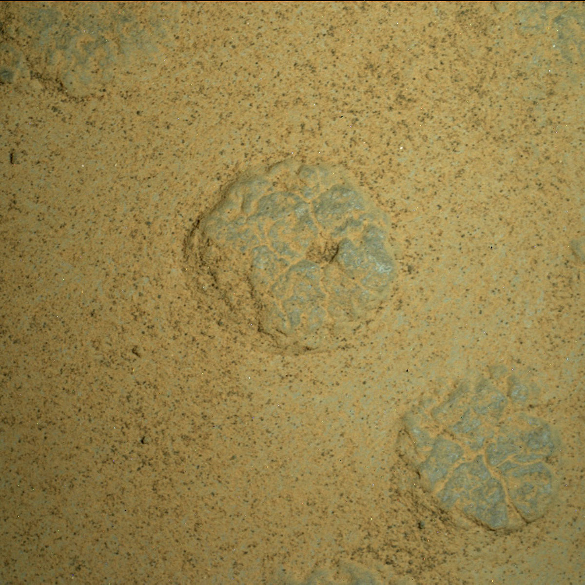 Rhea and Epimetheus | The Planetary Society