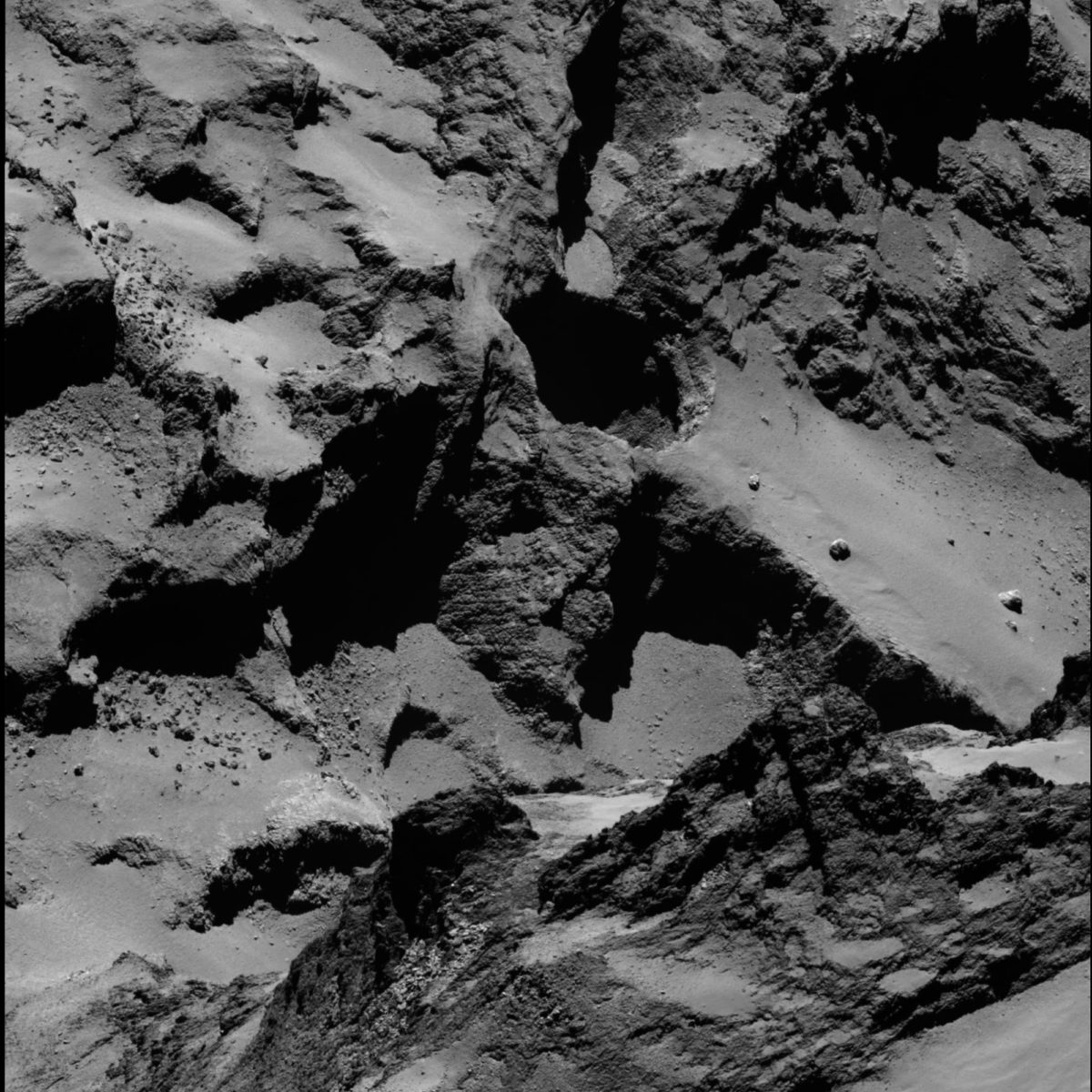 Portrait of Apollo 11 astronaut Neil Armstrong | The Planetary Society