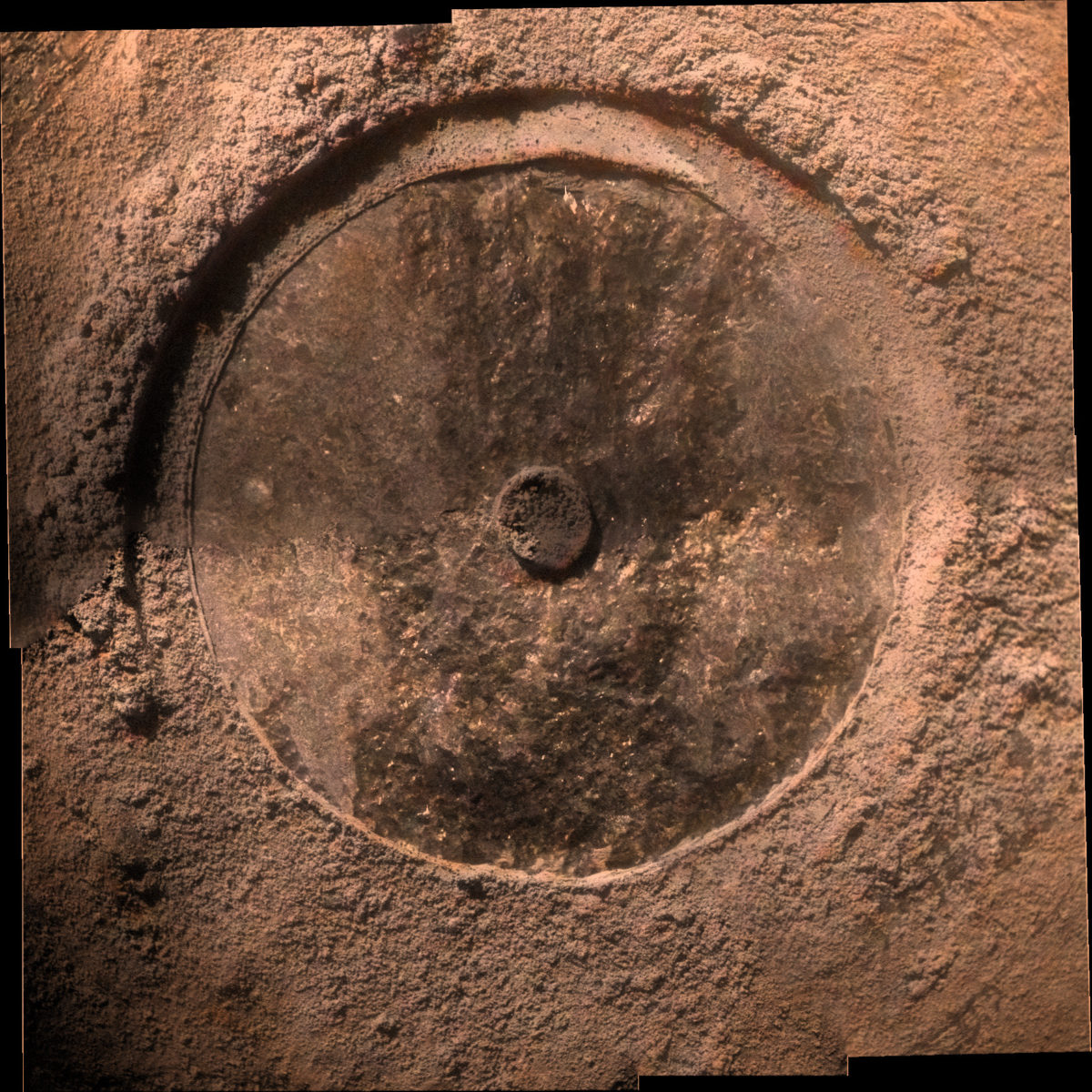 Asteroid 253 Mathilde in color | The Planetary Society