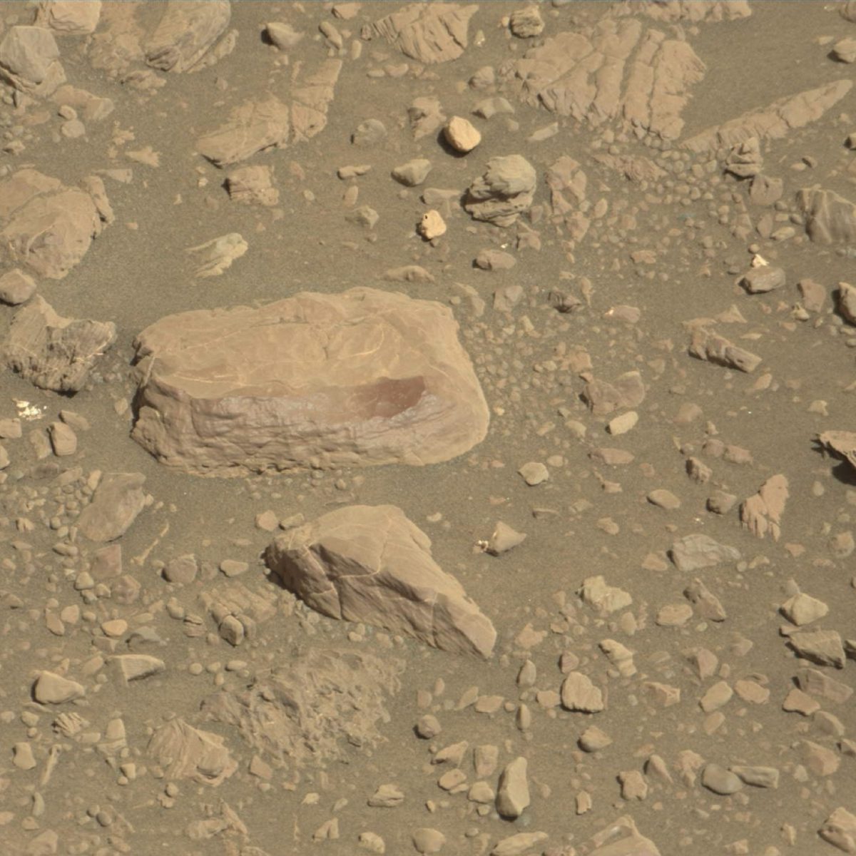 Ganymede in color from Voyager 1 | The Planetary Society