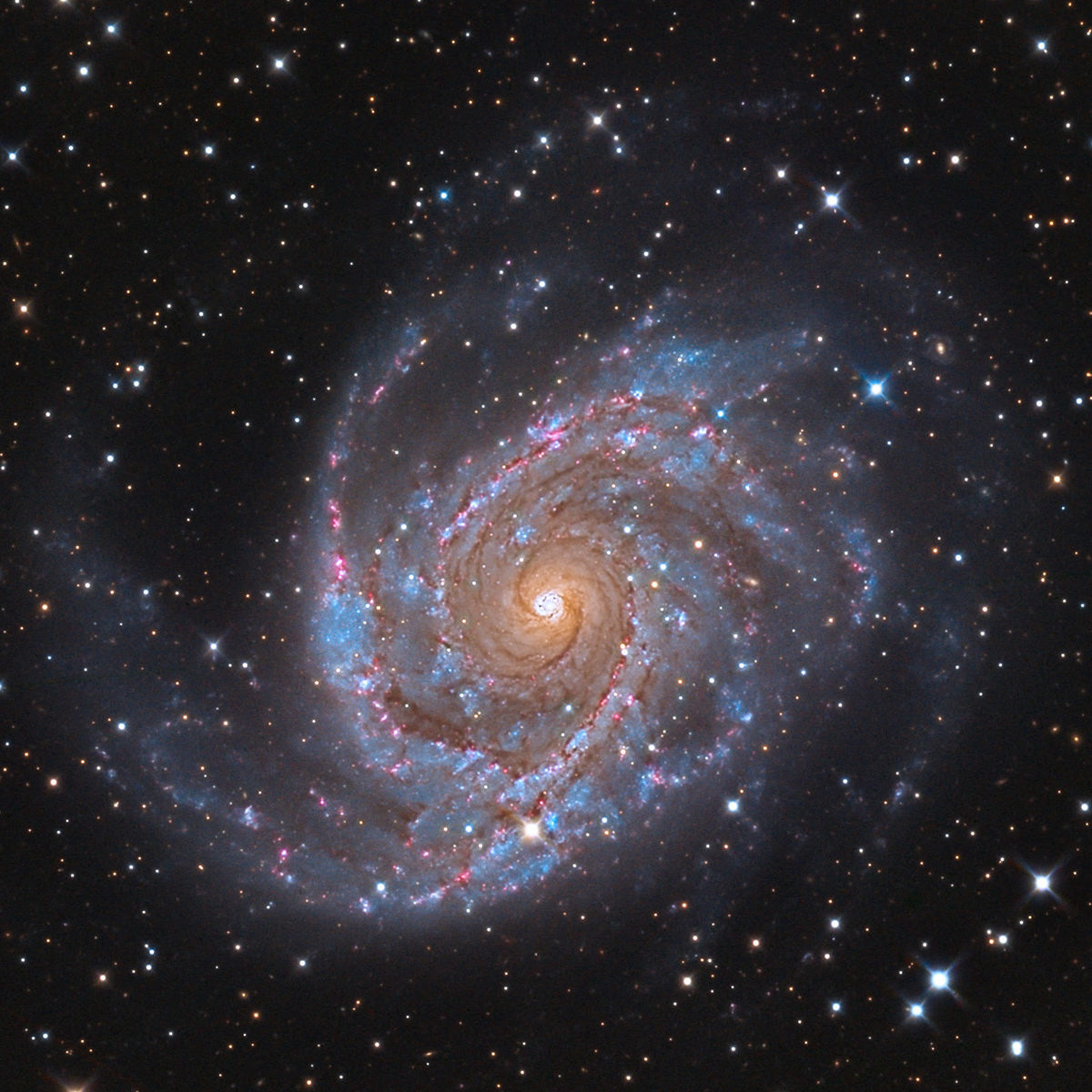 Mars Exploration Rover graphical timeline | The Planetary Society