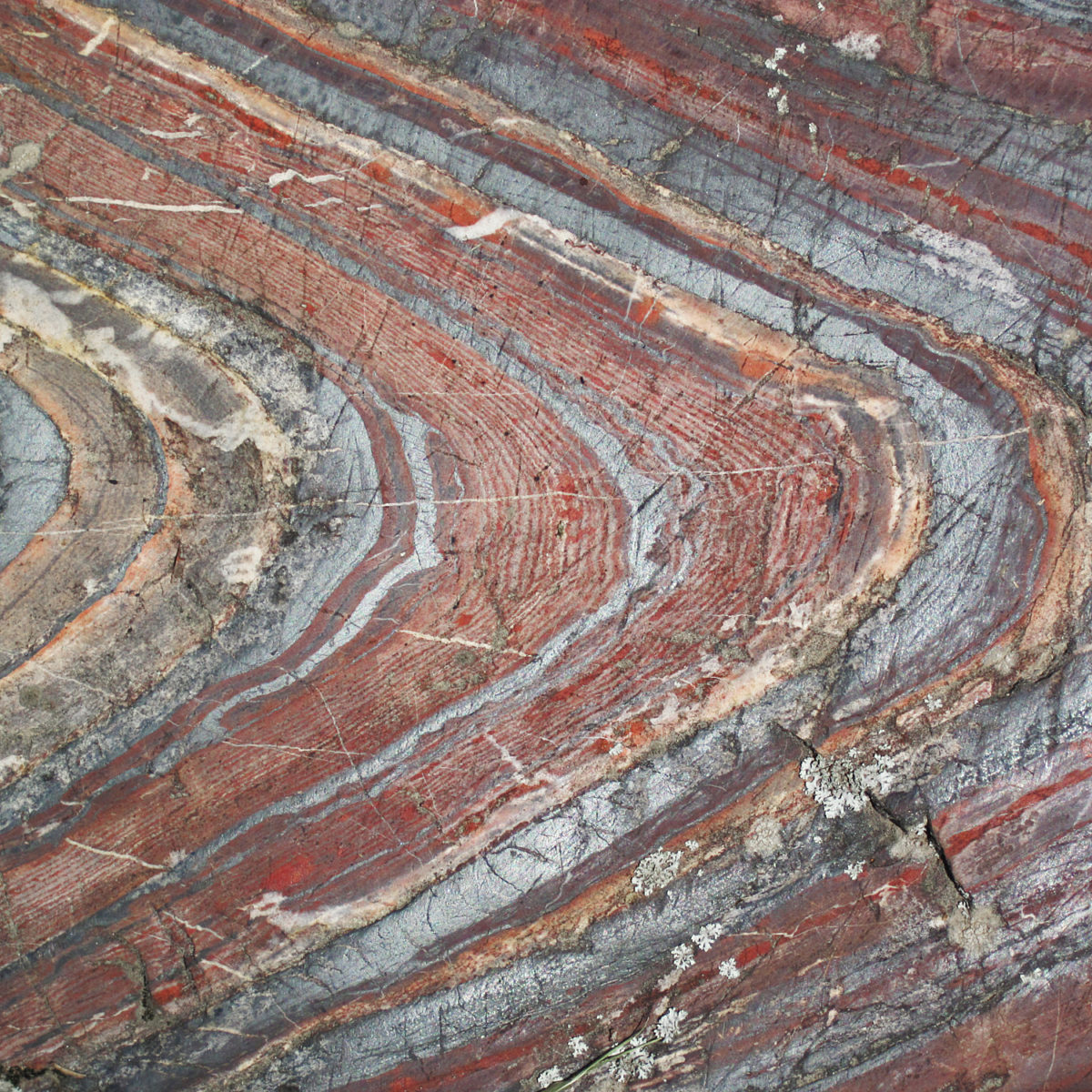 Graph of Planetary Mass Versus Distance From… | The Planetary Society