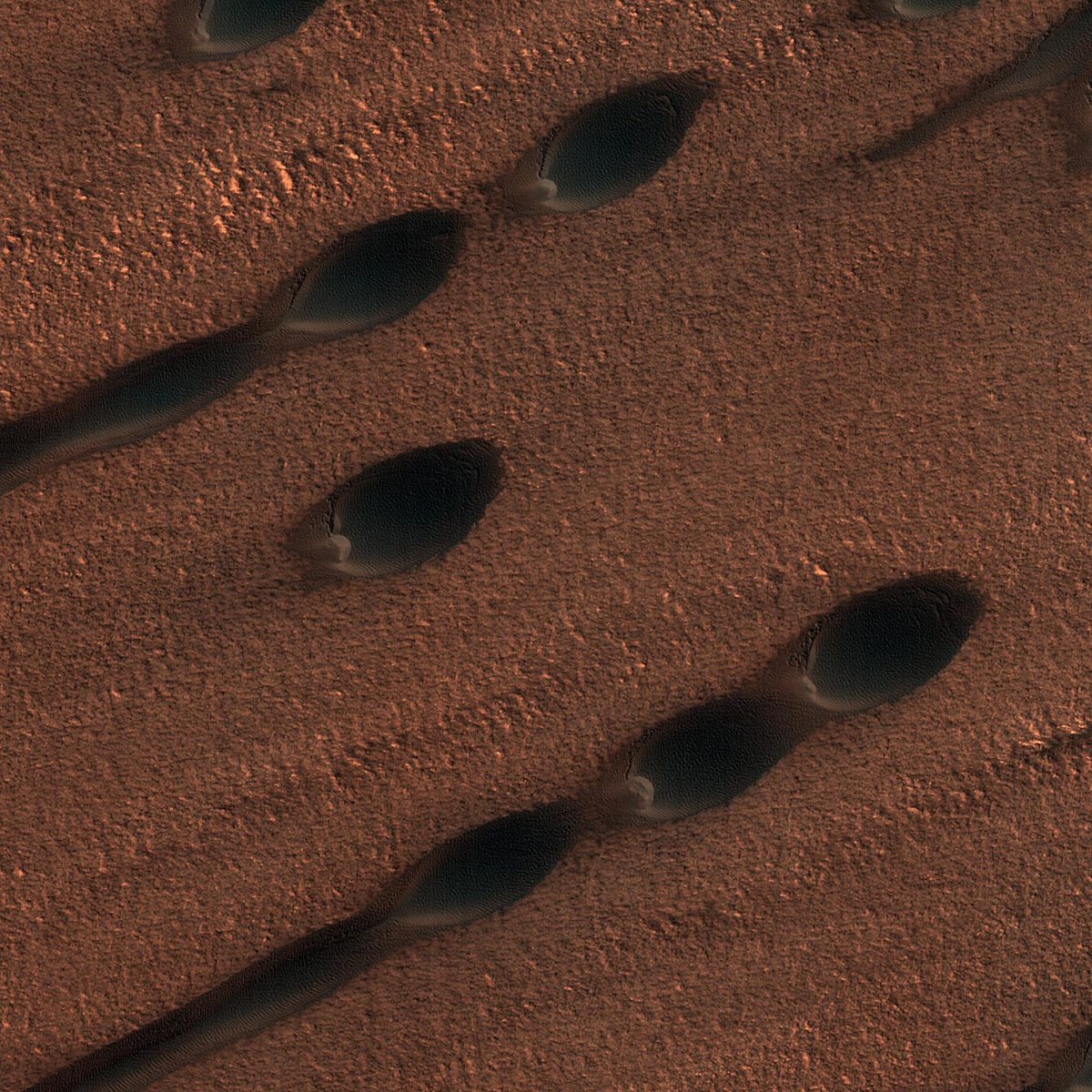 The Geologic Time Scale (2012) | The Planetary Society