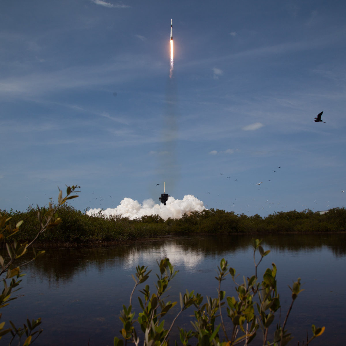 True Colors of Pluto | The Planetary Society