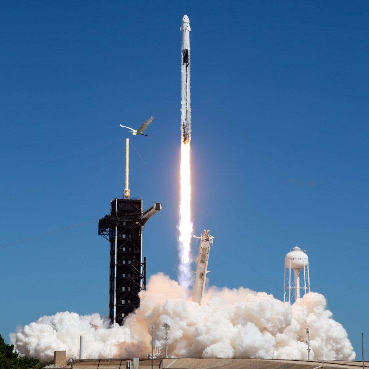 The Solar System's Major Moons (scattered) | The Planetary Society