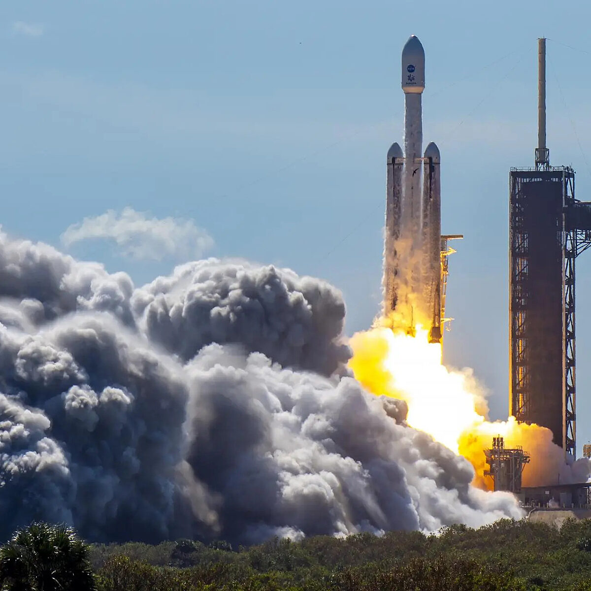 Neil deGrasse Tyson | The Planetary Society