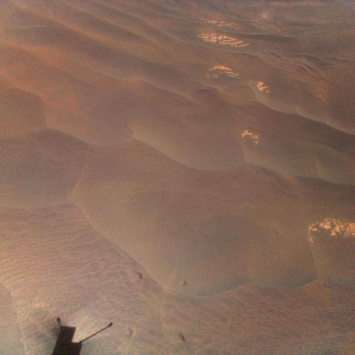 Map of Rhea with place names | The Planetary Society