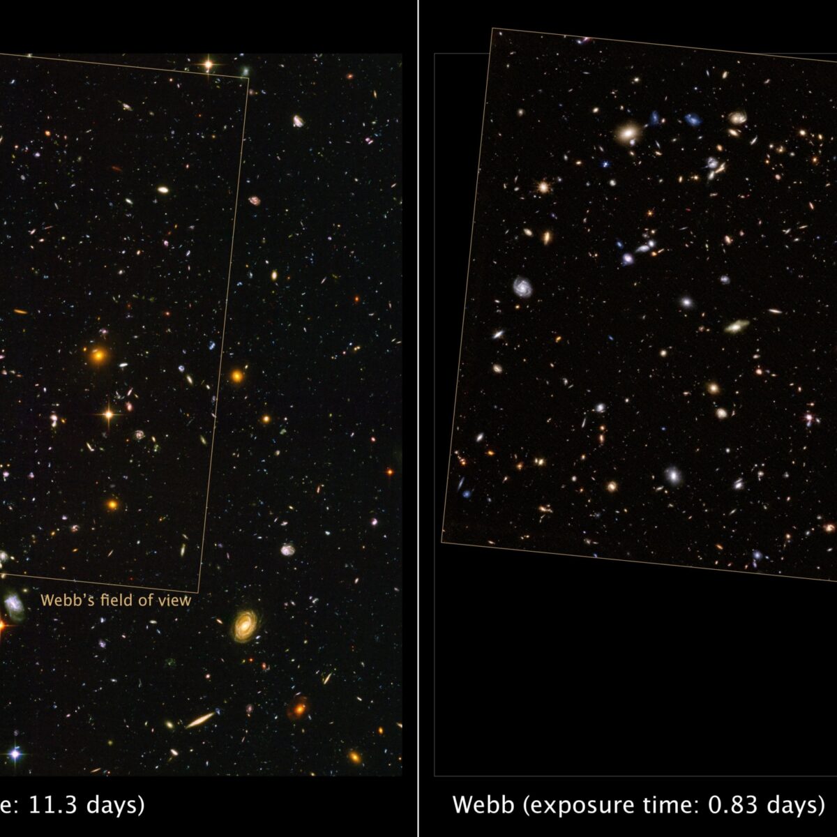 Tarantula Nebula as seen by JWST | The Planetary Society