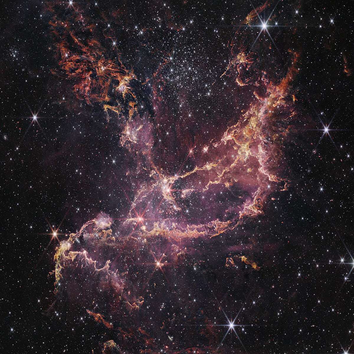 JWST sees spiral galaxy IC 5332 | The Planetary Society JWST sees spiral galaxy IC 5332 | The Planetary Society
