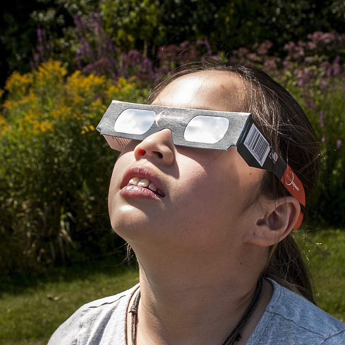 What Is a solar eclipse? Your questions… | The Planetary Society
