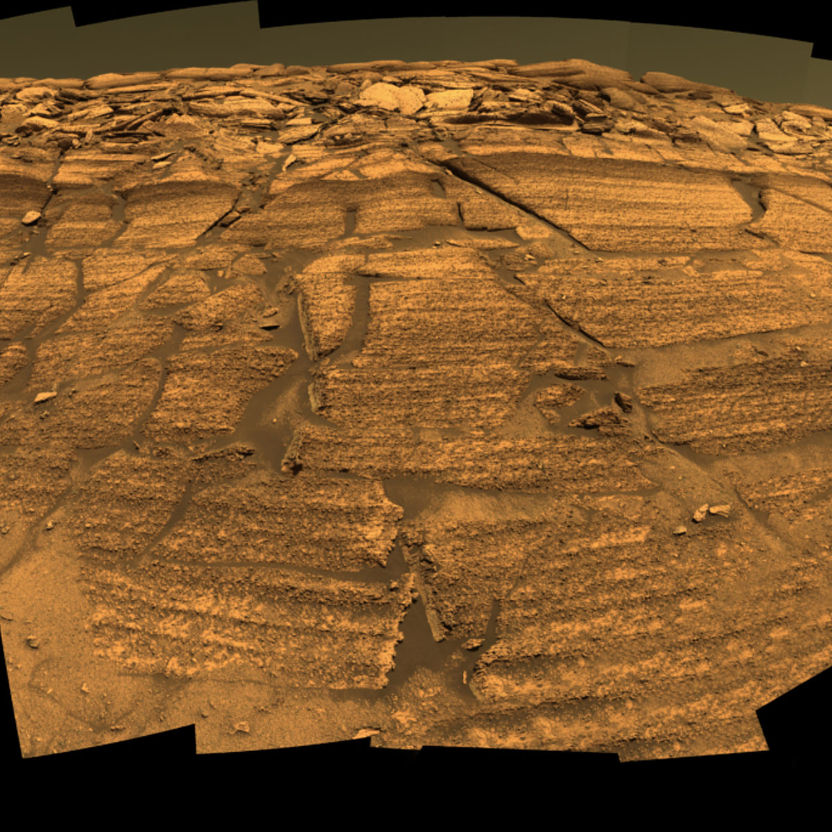 Venera 14 panorama of Venus' surface | The Planetary Society