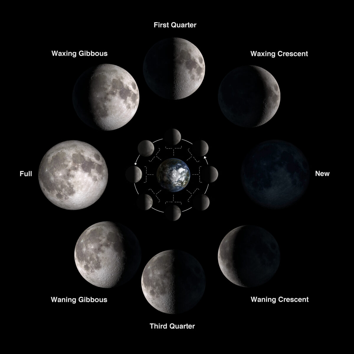 The phases of the Moon explained | The Planetary Society