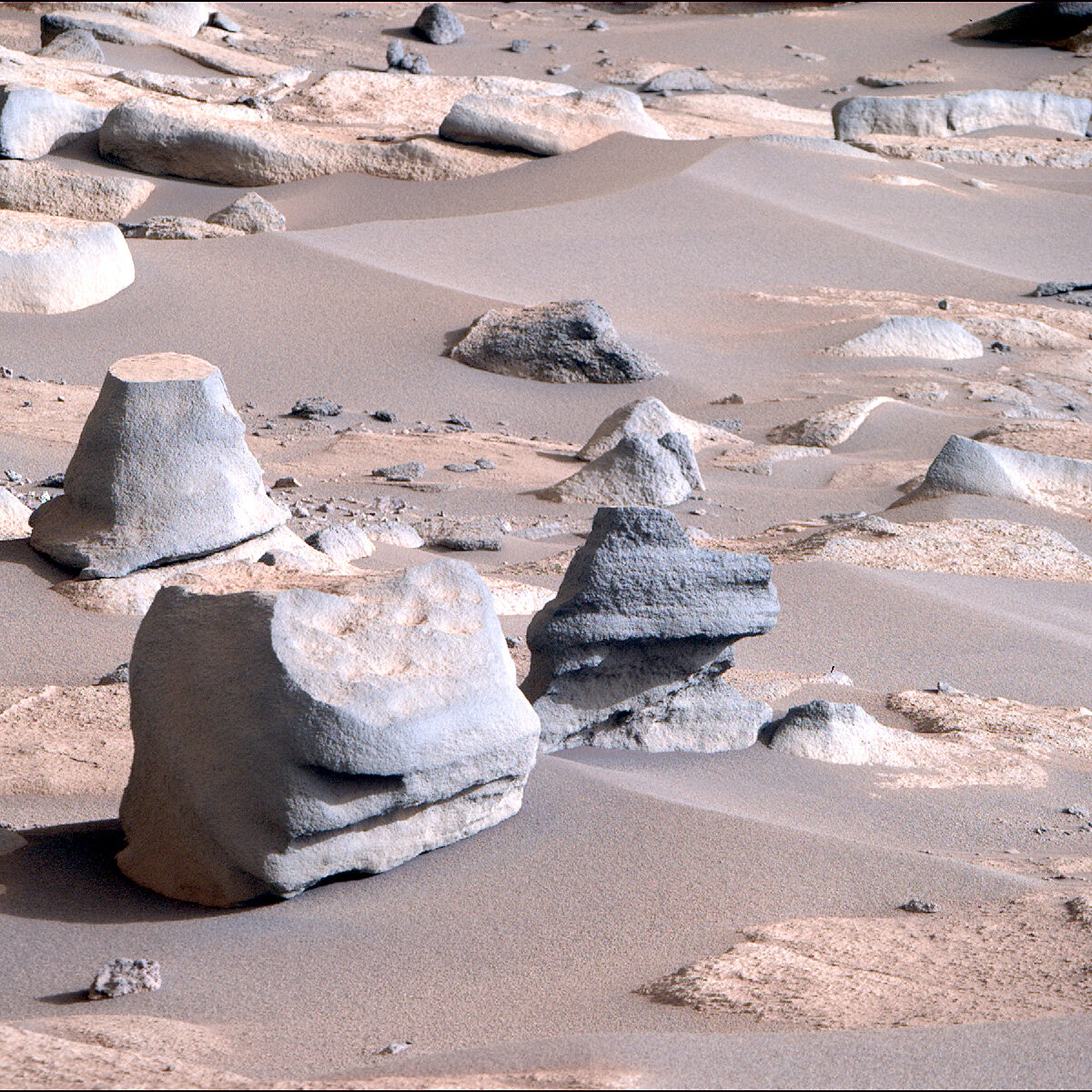 NGC 2264 (The Christmas Tree Cluster) | The Planetary Society
