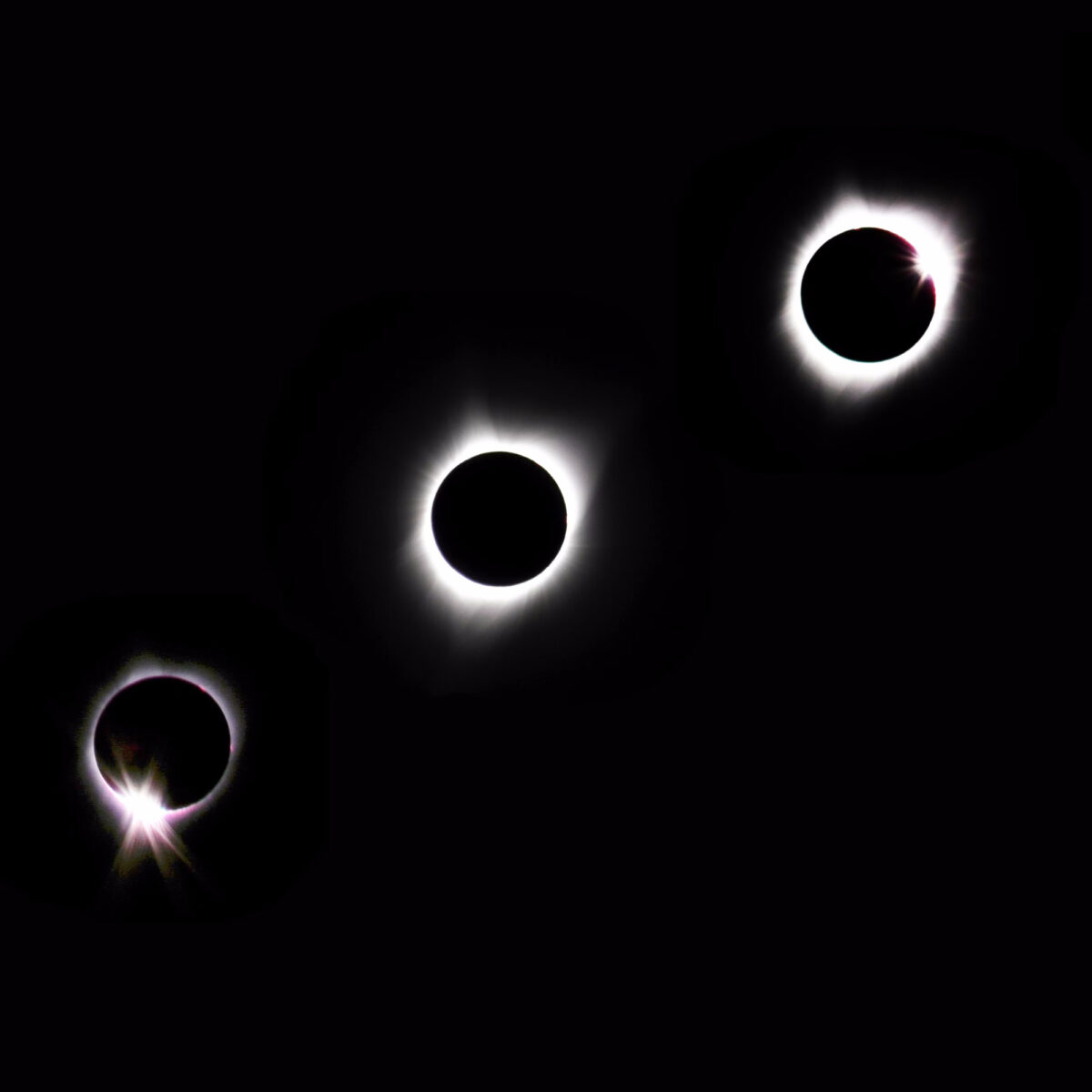 The Pluto Discovery Plates | The Planetary Society