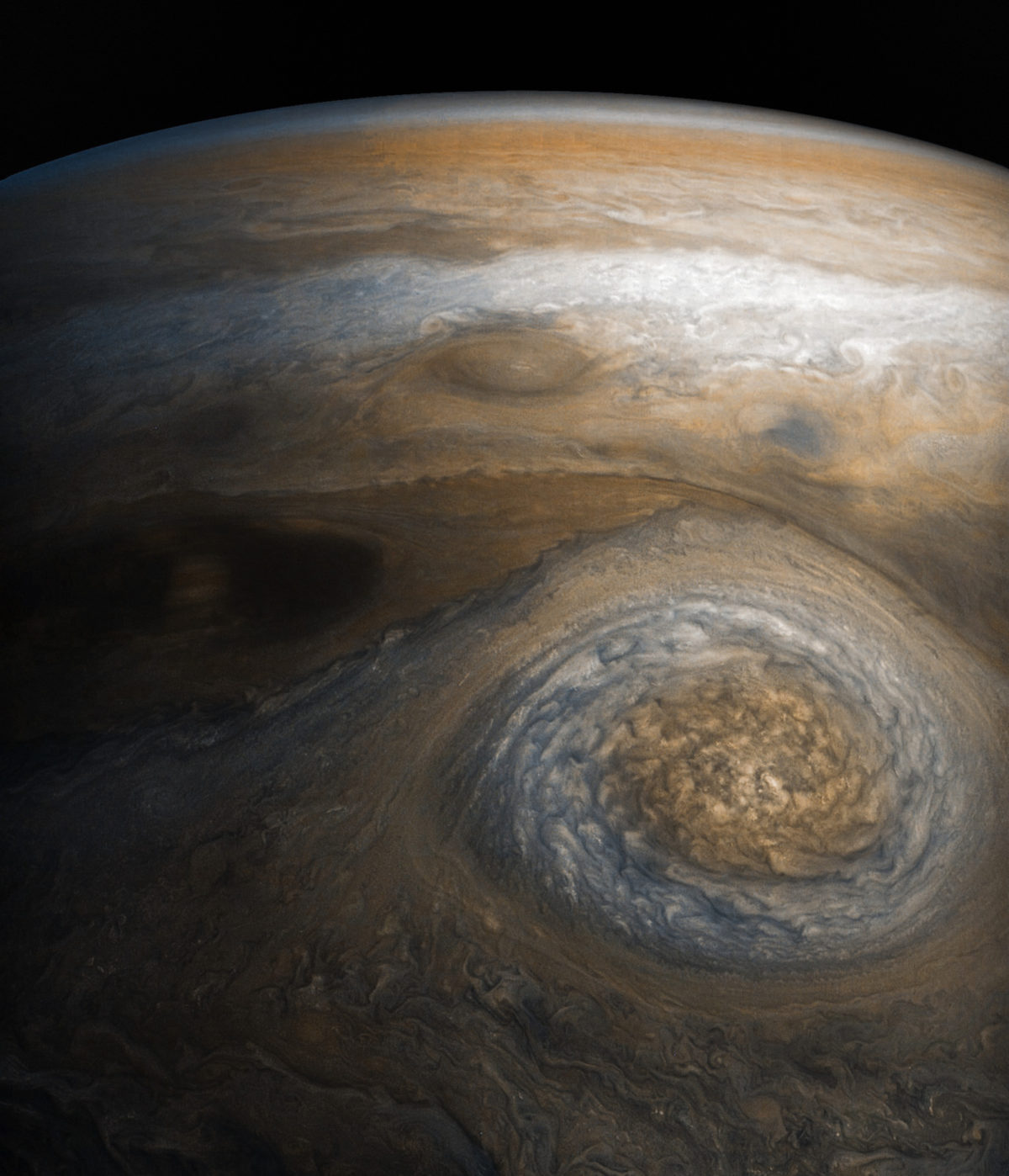 Jupiter from Juno’s seventh perijove (detail) | The Planetary Society