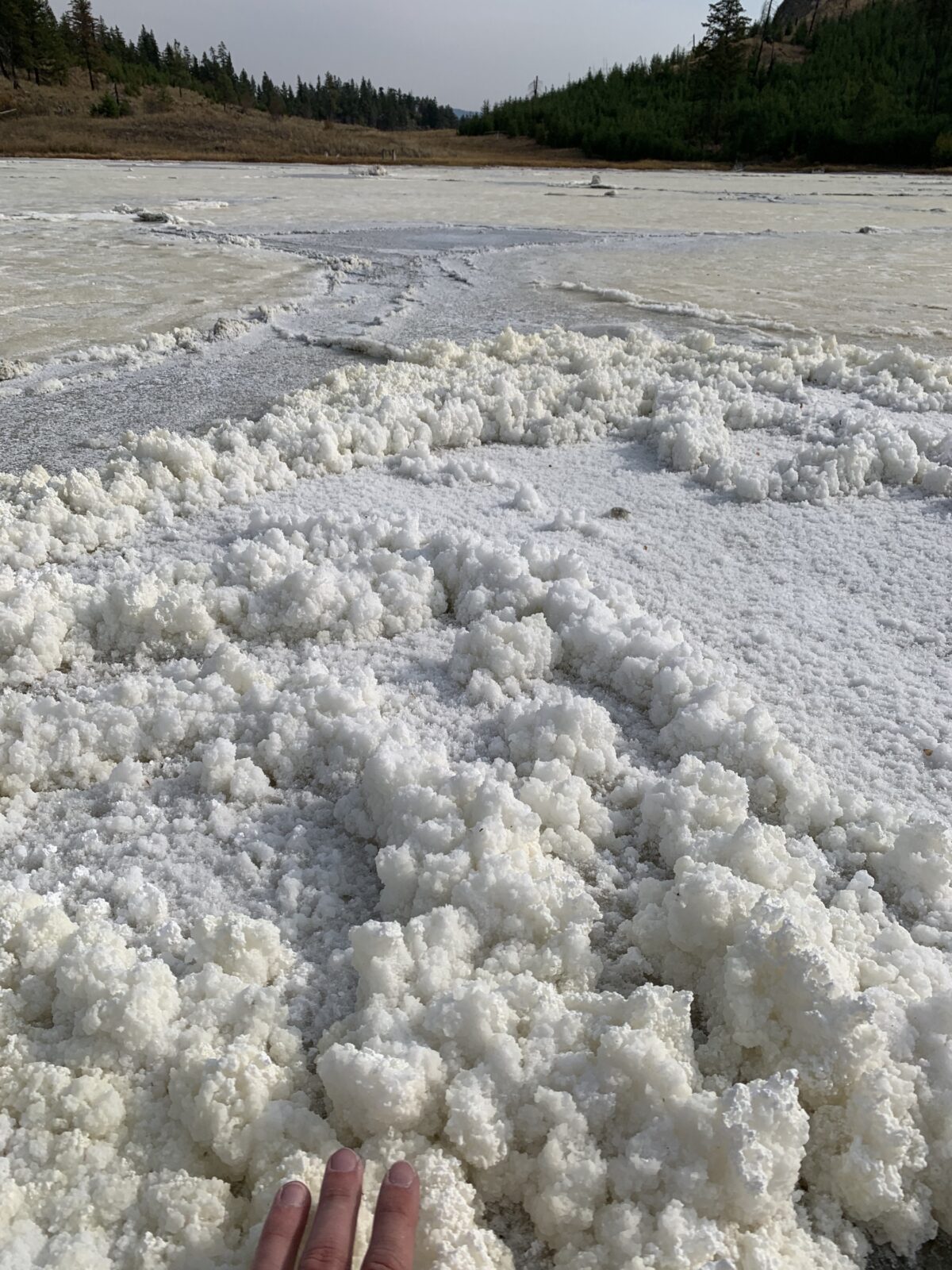 Close view of a hypersaline lake | The Planetary Society