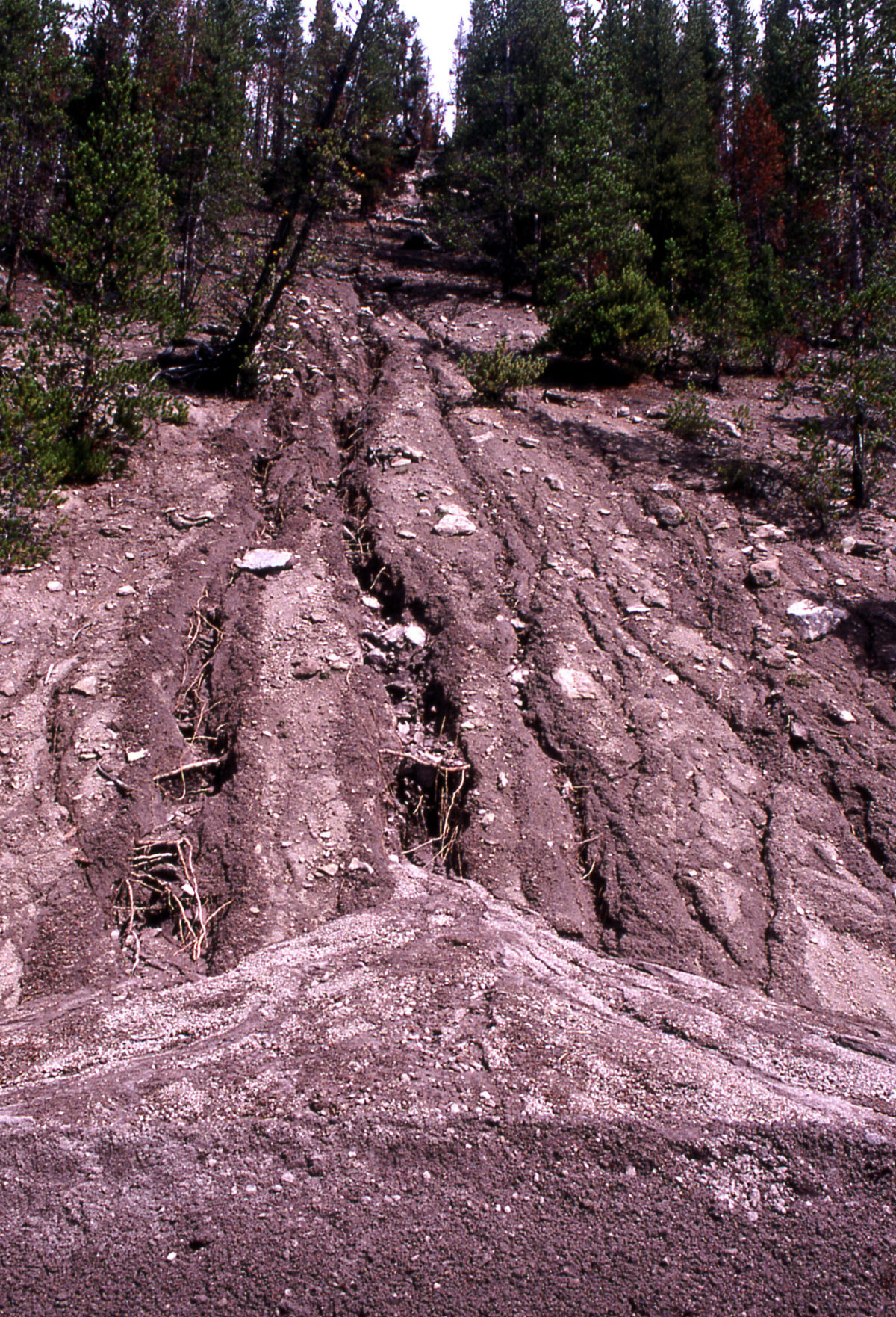 Mudslide and erosion caused by heavy rain,… | The Planetary Society