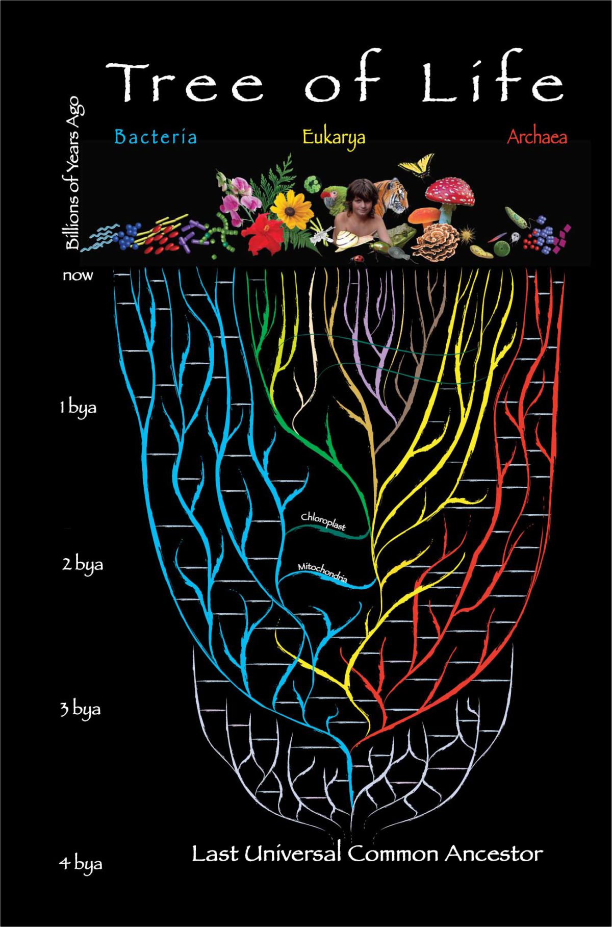 Planet Formation and the Origin of Life | The Planetary Society