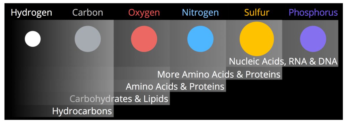 Elements of life | The Planetary Society
