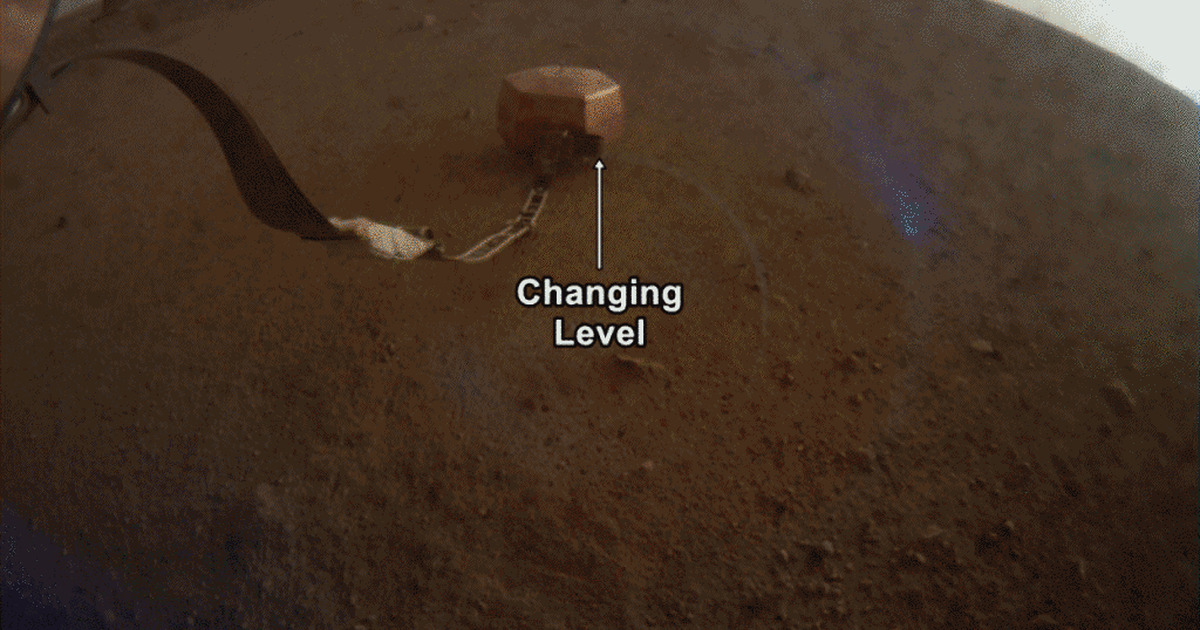 InSight's seismometer levels itself, sol 30 | The Planetary Society