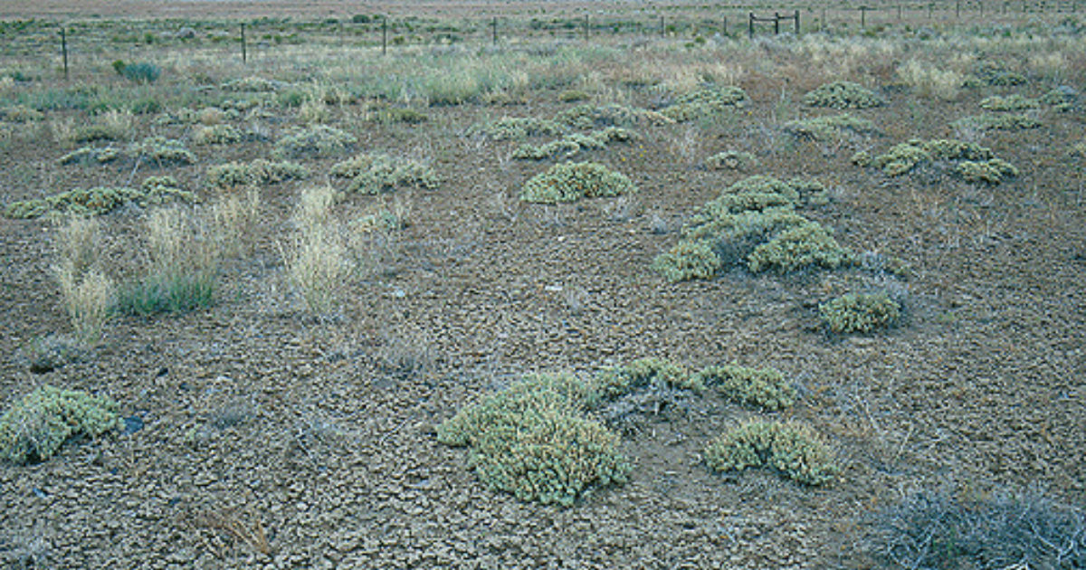 Smectite clays on Earth | The Planetary Society