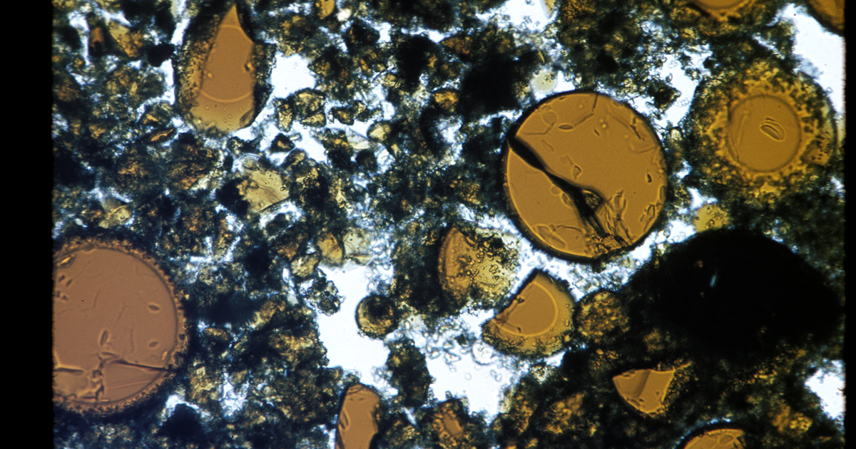 Pyroclastic glasses in lunar sample | The Planetary Society