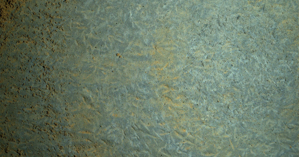 MAHLI image of Mojave, sol 809 | The Planetary Society