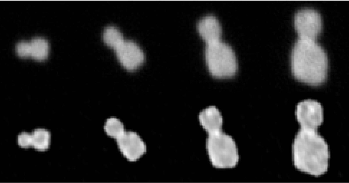 A few new images of MU69 | The Planetary Society