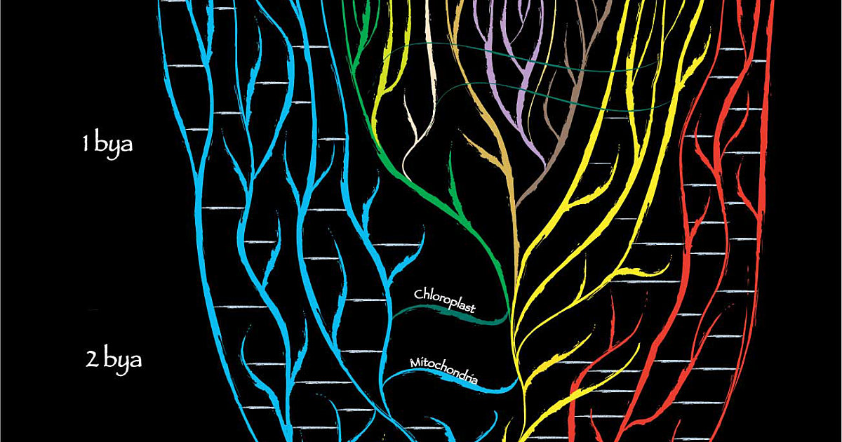 Tree of life | The Planetary Society