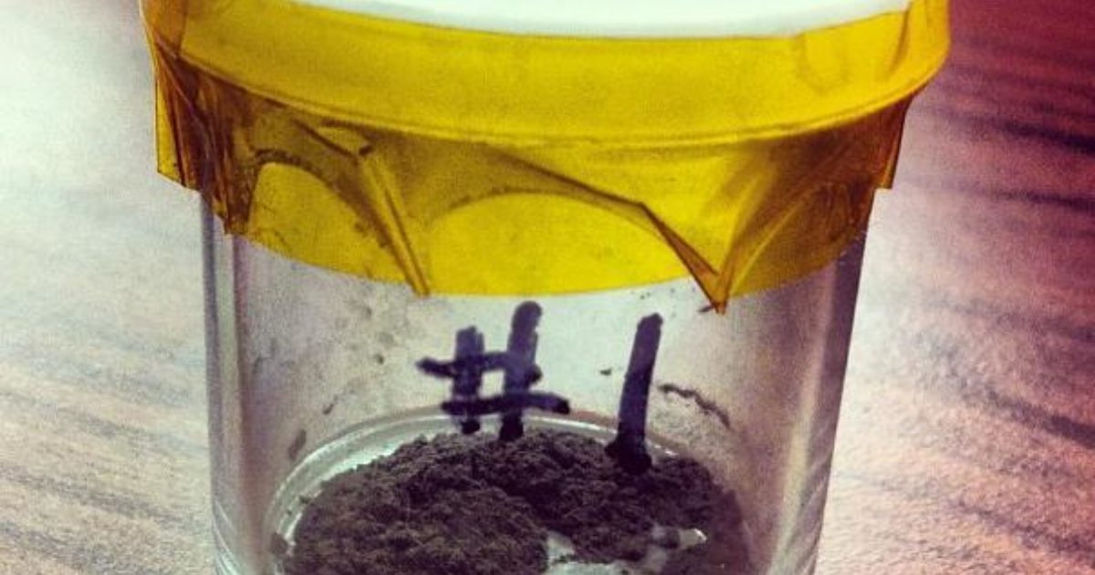 Apollo 17 lunar dust sample | The Planetary Society