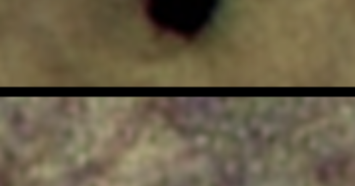 Phoenix heat shield before and after a… | The Planetary Society
