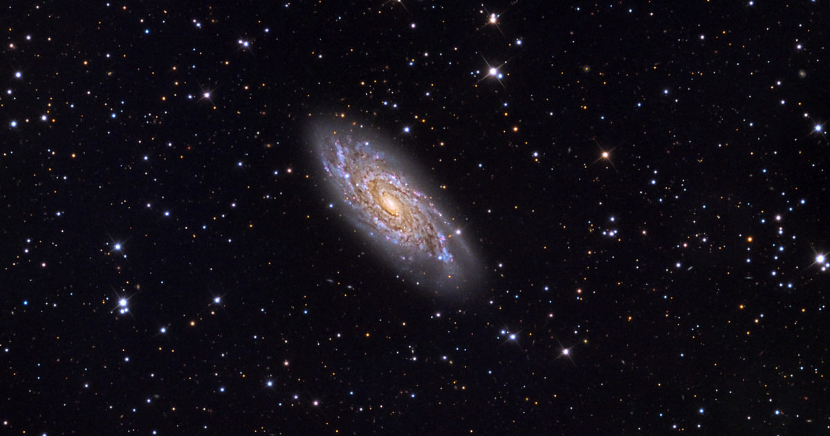 NGC 6118 (wide view) | The Planetary Society