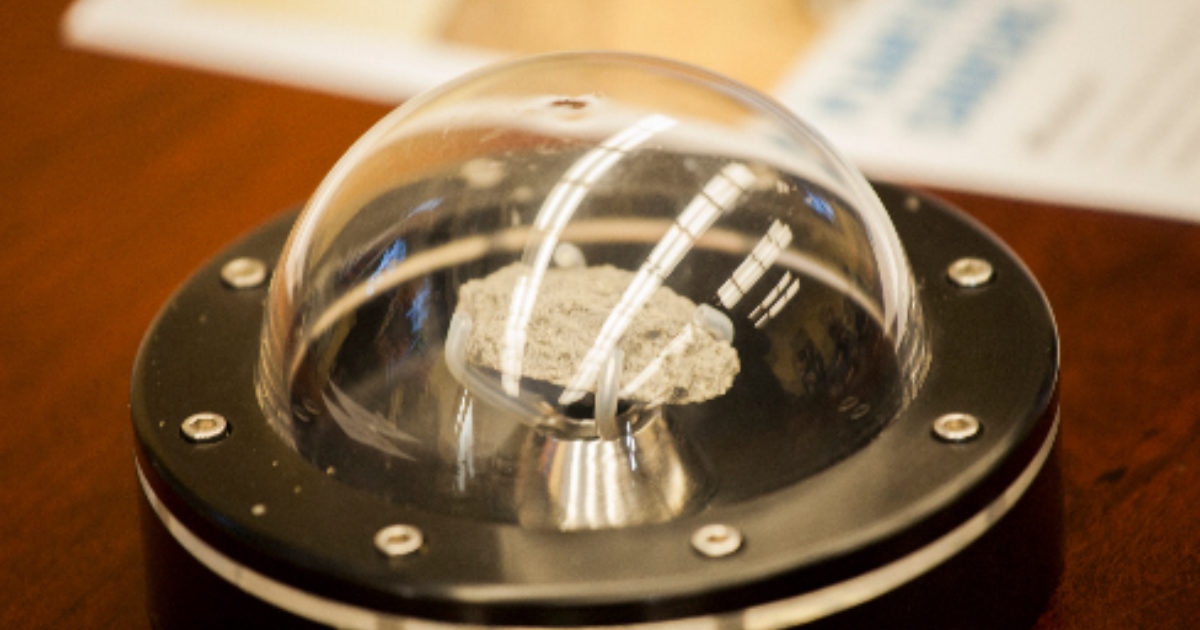 Martian meteorite ALH84001 | The Planetary Society