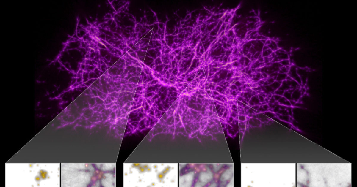 Reconstruction of the cosmic web | The Planetary Society