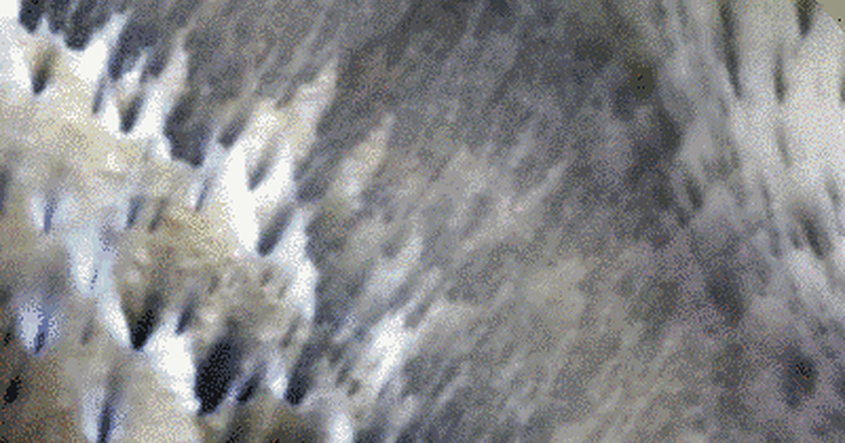 Happy solstice -- on Mars | The Planetary Society