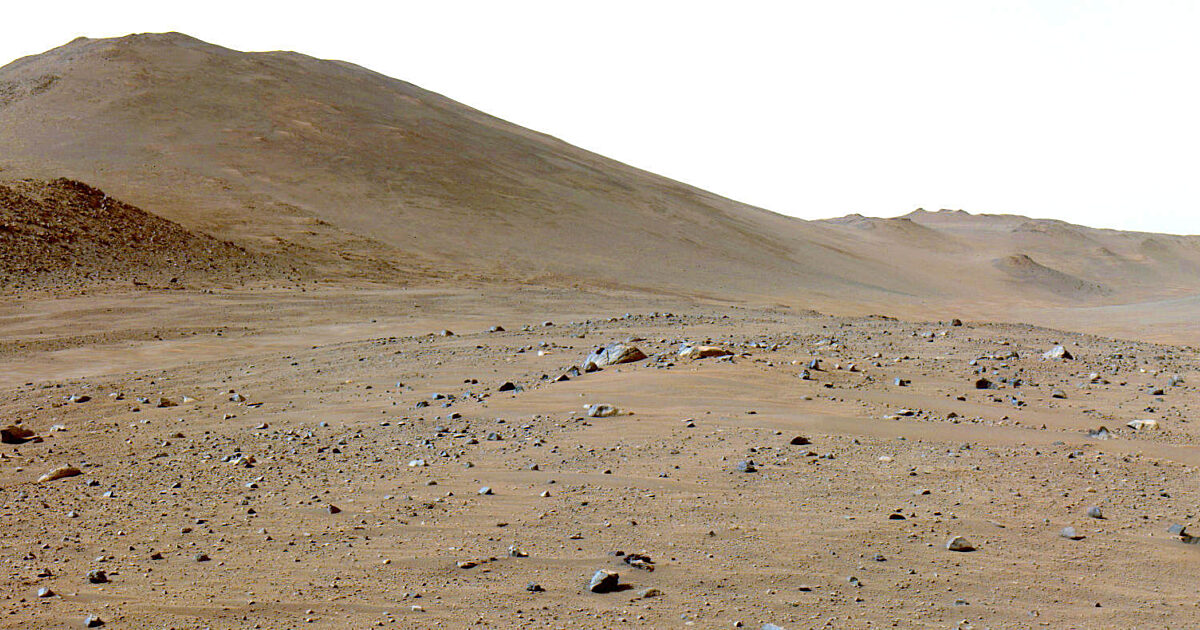 Bright Angel from Perseverance | The Planetary Society