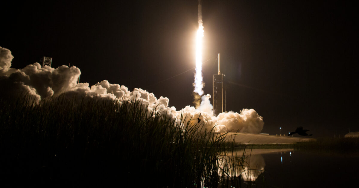 Crew-8 launch | The Planetary Society