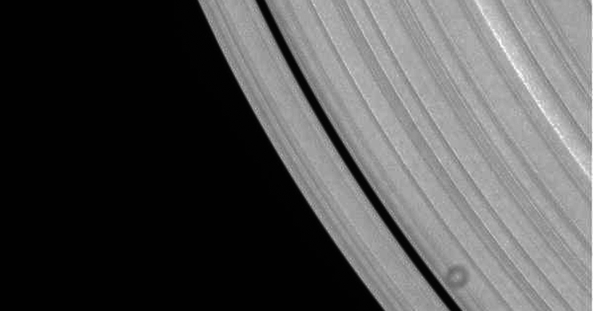 Daphnis cruises through the Keeler Gap | The Planetary Society Daphnis cruises through the Keeler Gap | The Planetary Society