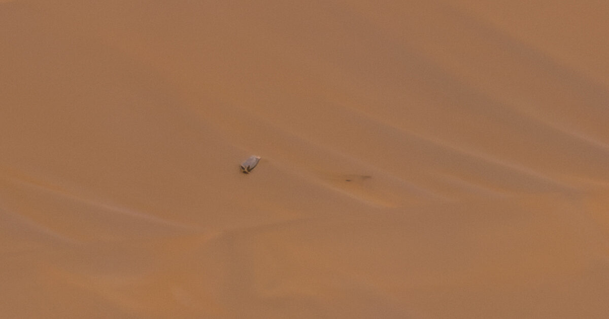 Ingenuity Broken Blade | The Planetary Society