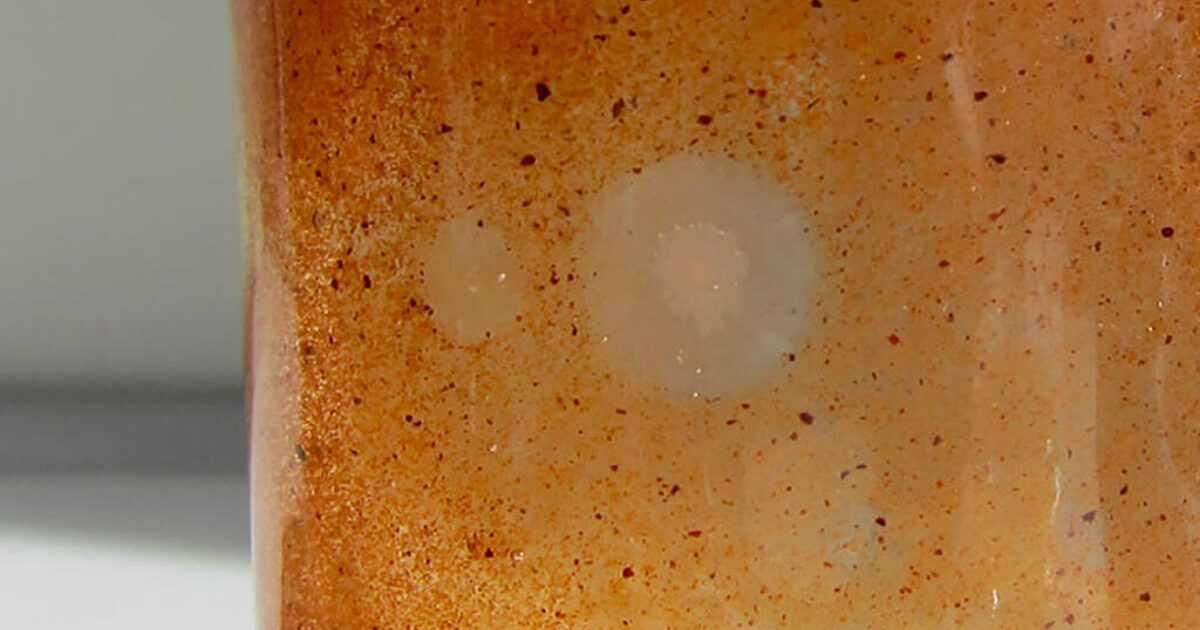Iron reducing bacteria | The Planetary Society