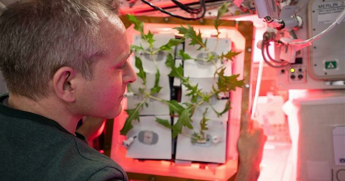 Plant growth research on the ISS | The Planetary Society