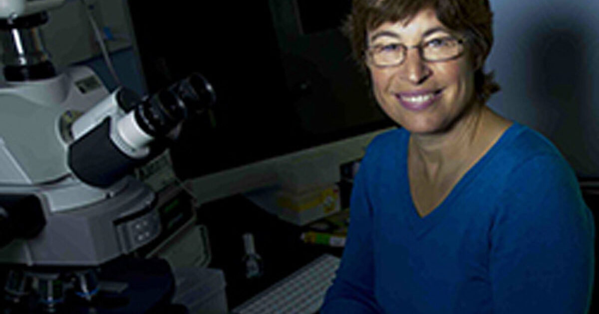 Lynn Rothschild portrait | The Planetary Society