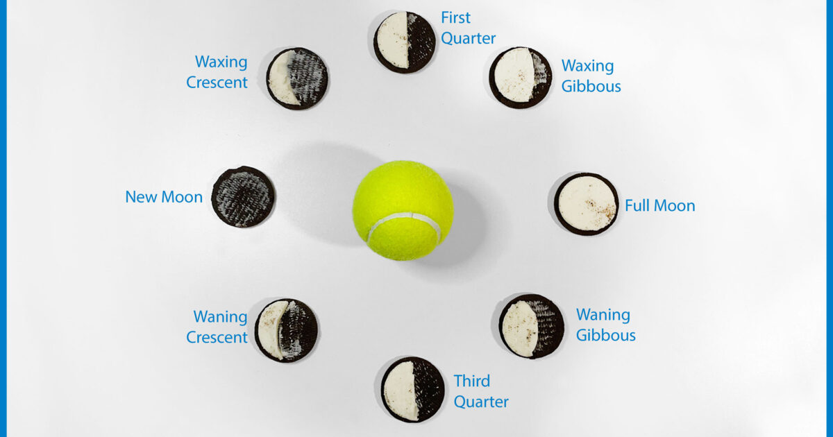 Moon cookies complete phases | The Planetary Society