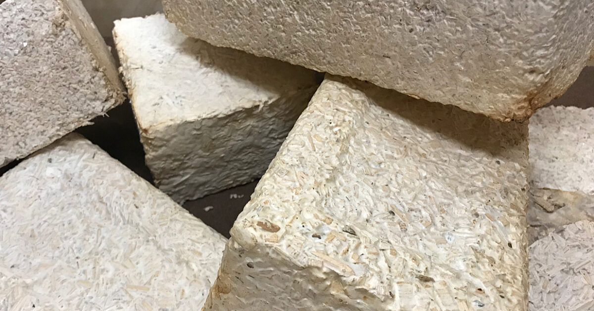 Mycelium bricks | The Planetary Society